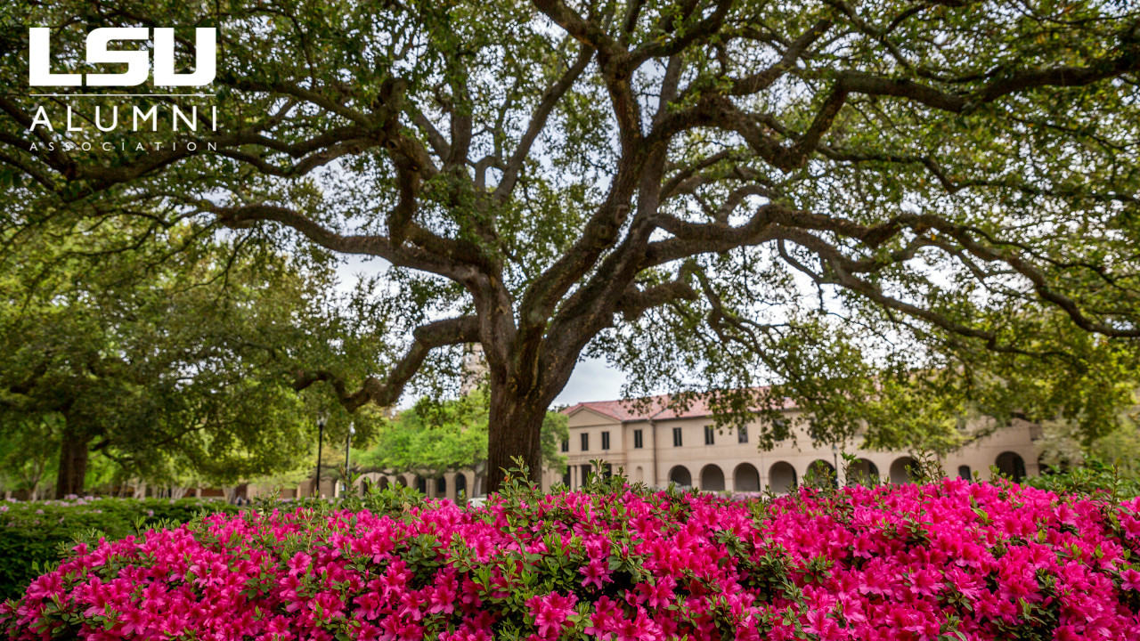 LSU Alumni Zoom Backgrounds