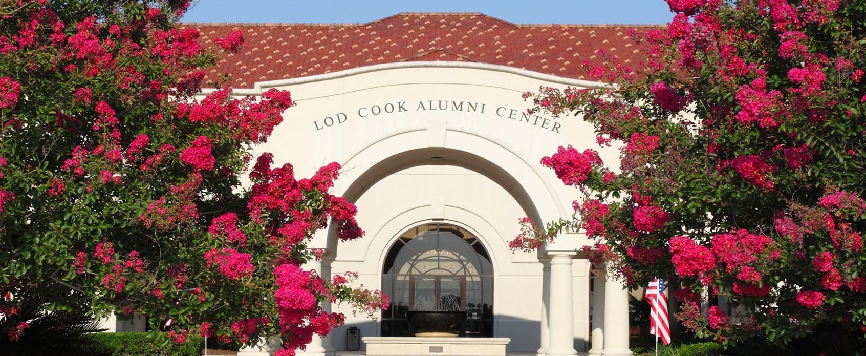 LSU Alumni 2010s | Hall of Distinction 2010s